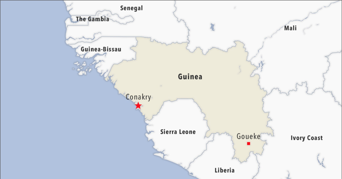 General Strike Brings Guinea's Capital to a Halt