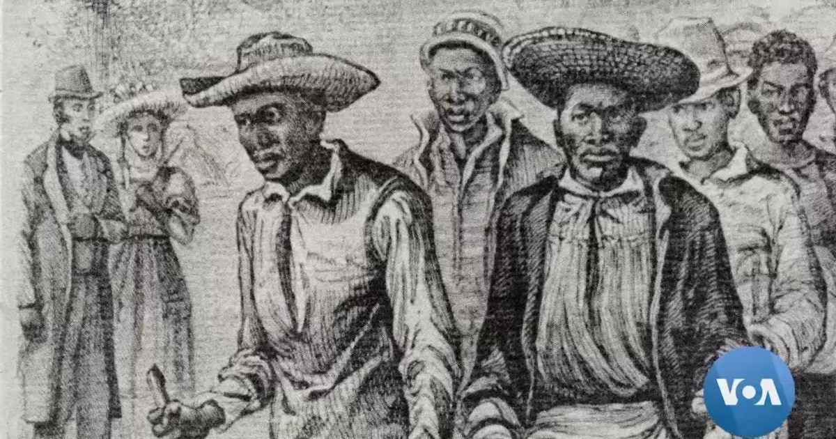 US Slave Trade Fueled America's Economic Rise, But Painful Scars Remain ...