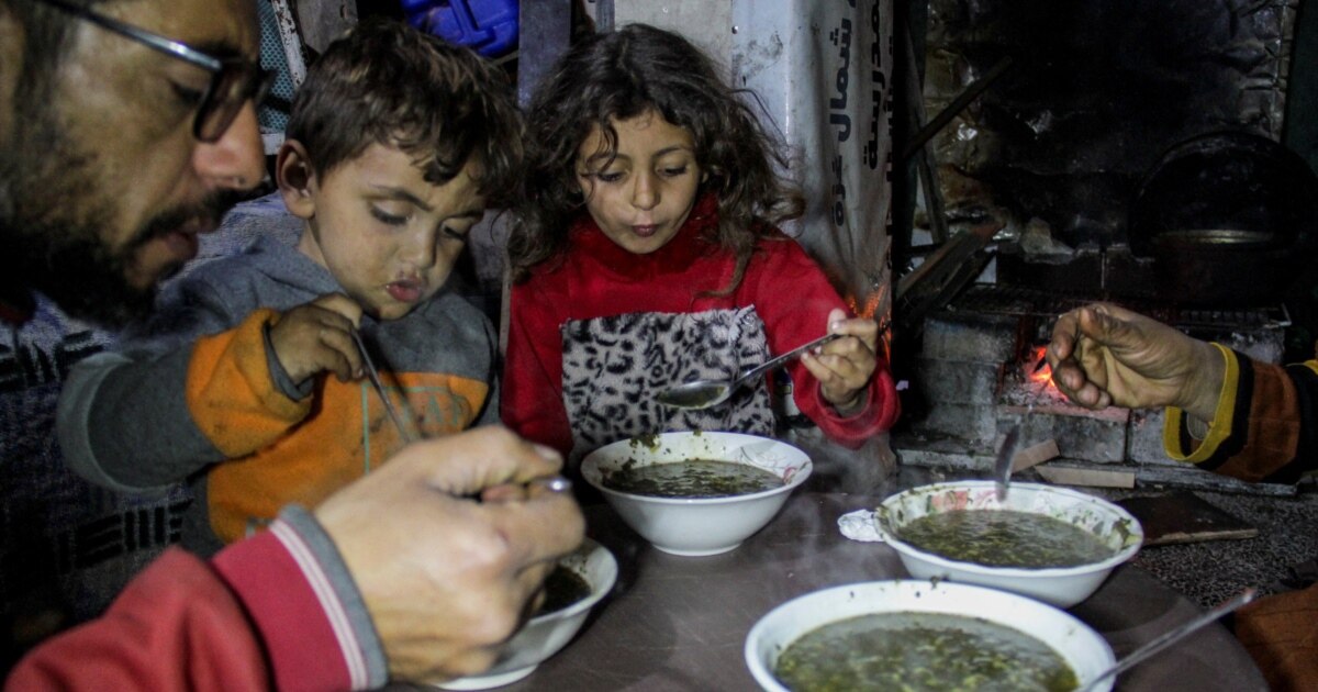 Hungry Gazans Eat Wild Plant to Survive