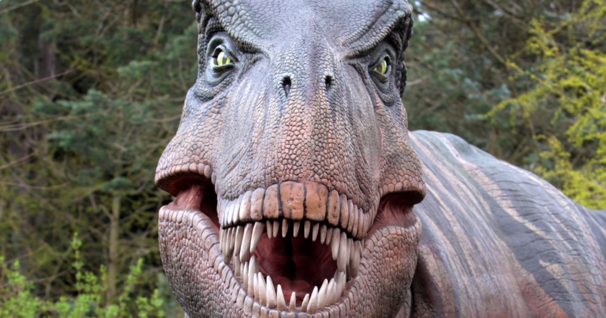 Fossils of Miniature T. Rex Found in Arctic