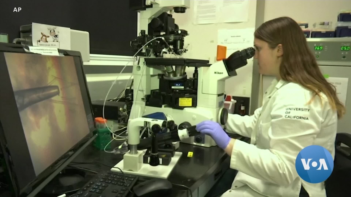 The Year in Science: 2018