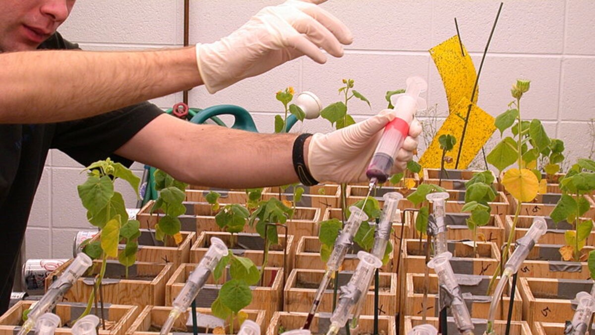 Plant Communications