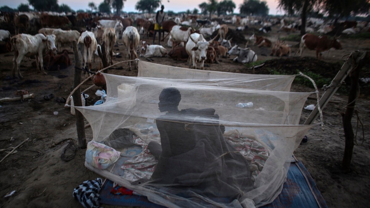 Peace and Demilitarization Needed for Progress in Abyei