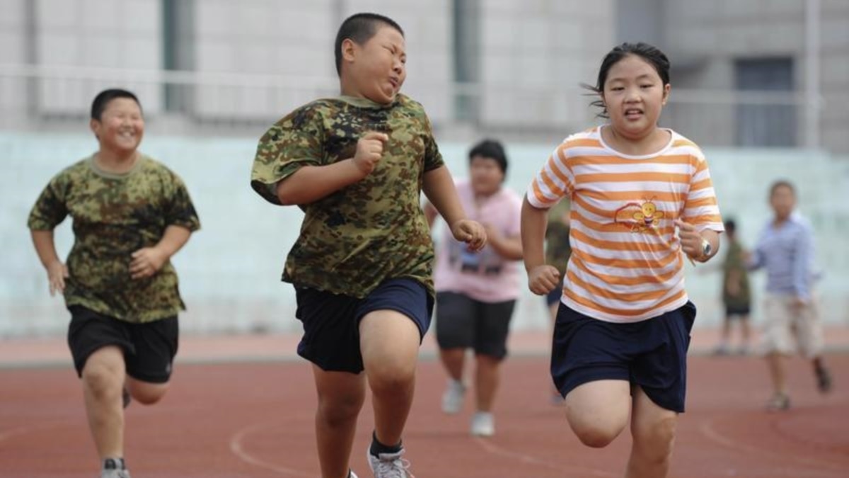 Physically Fit Children Do Better in School