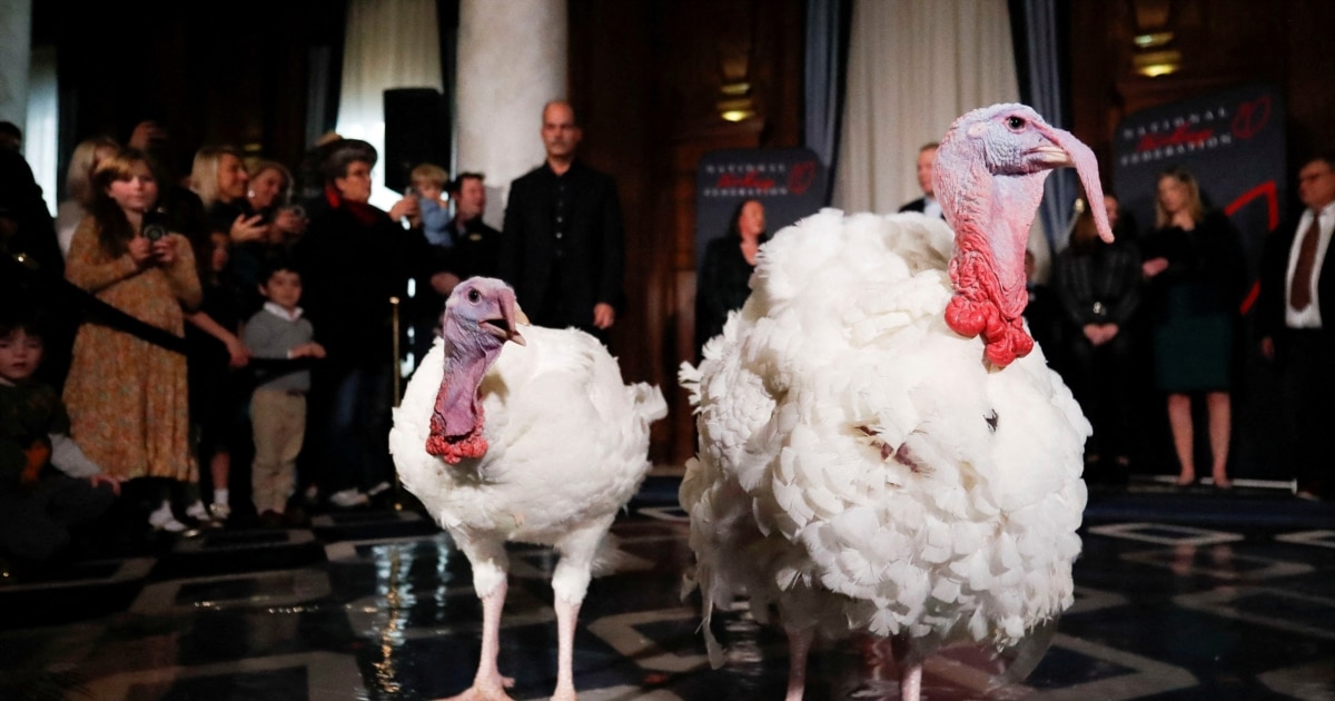 Biden atoa msamaha kwa bata mzinga wawili wakati wa Siku Kuu ya Shukrani