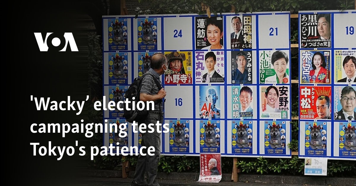 'Wacky’ election campaigning tests Tokyo's patience