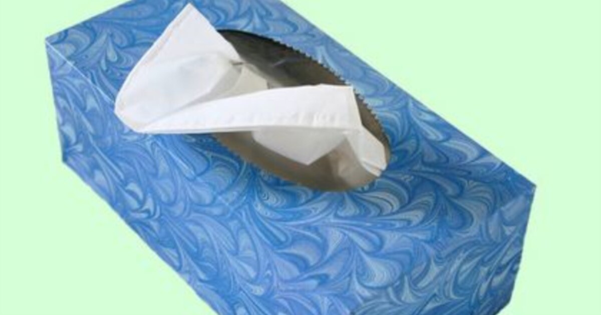 Tissue (noun)