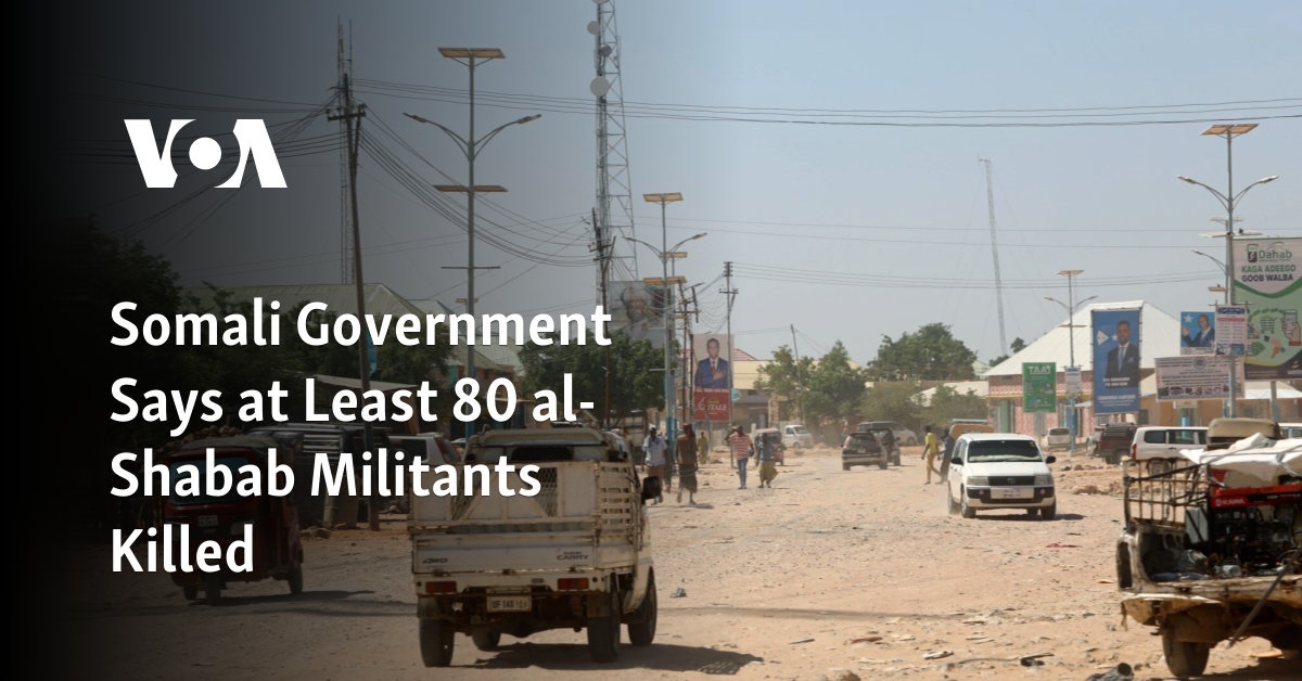 Somali Government Says at Least 80 al-Shabab Militants Killed in Attacks