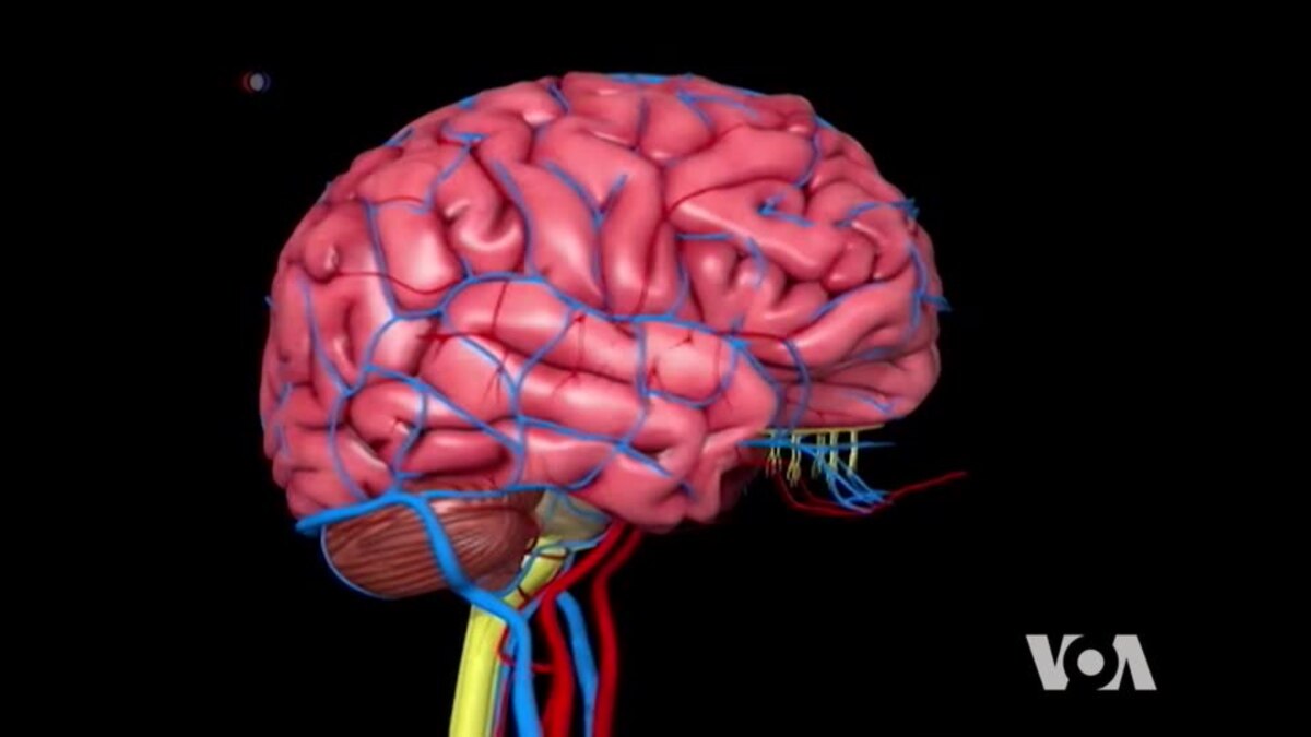 Looking Into Your Brain Just Became Easier