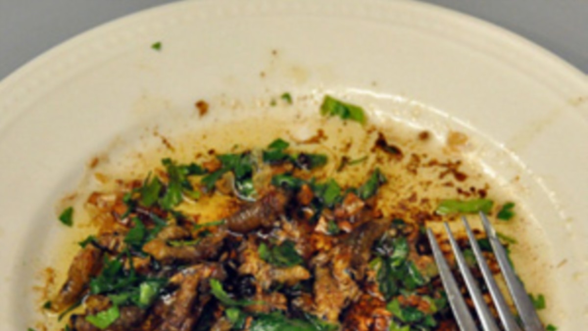 Cicada Emergence is Bug Eaters' Bonanza