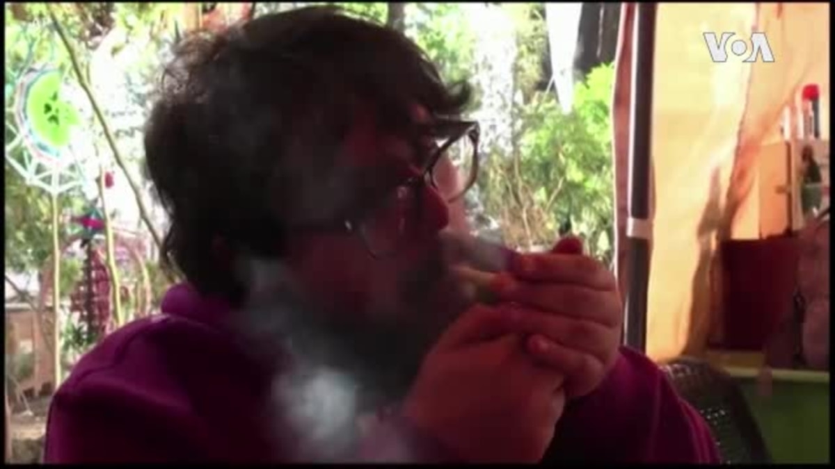 Mexico Marijuana -- USAGM