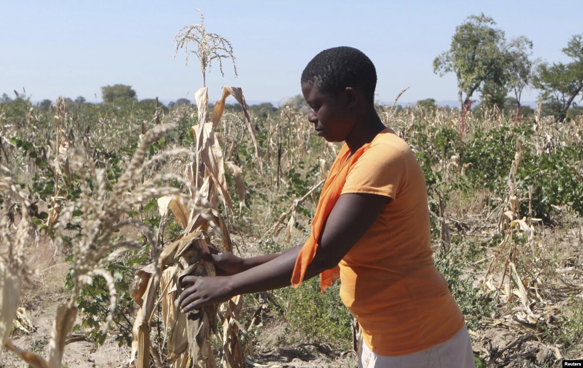 African Nations Vulnerable to Effects of Climate Change