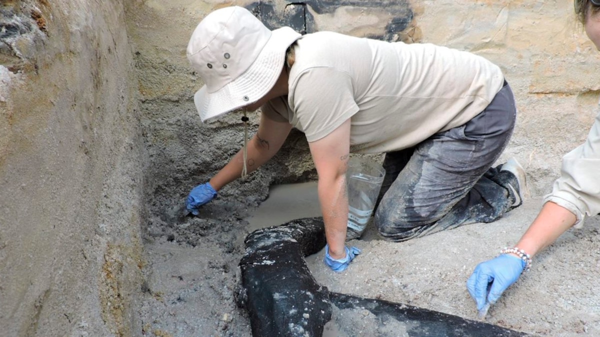 Simple Logs May Be Oldest Human-built Wood Structure