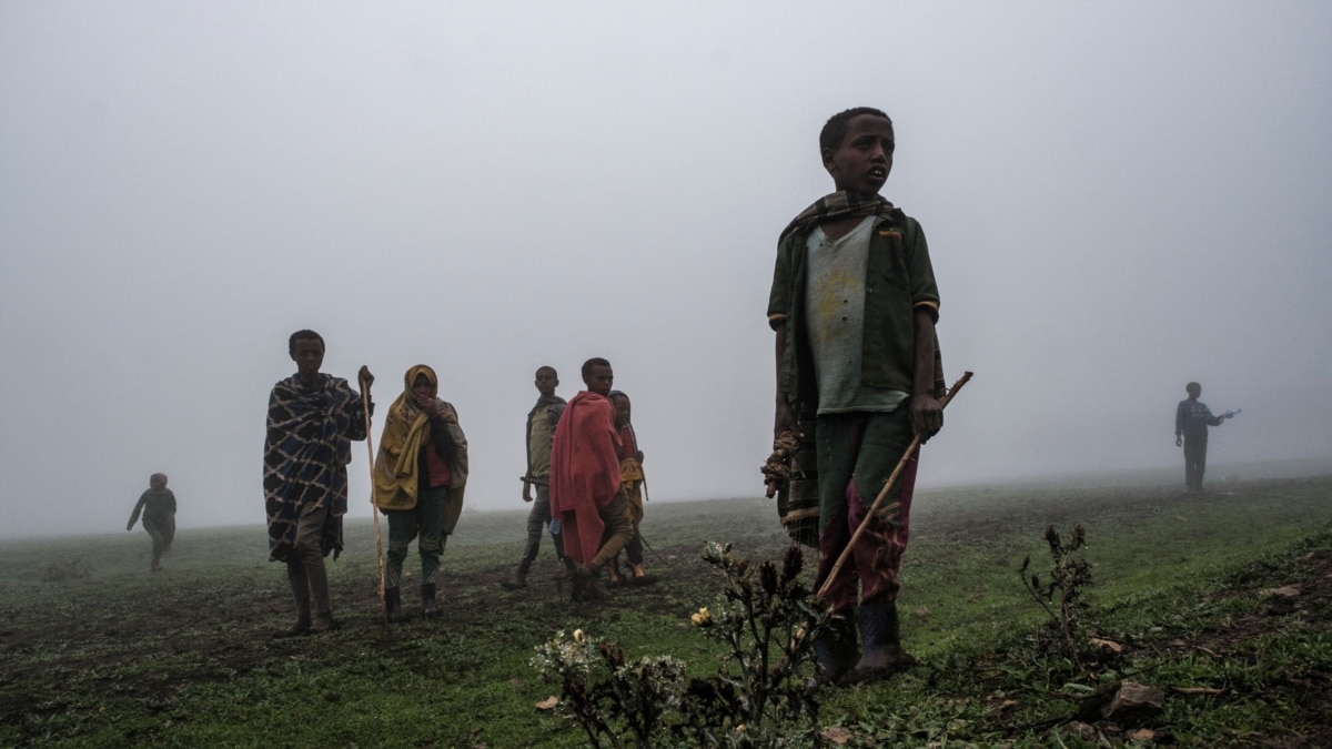 Baqattoonnii Eertiriyaa Itiyoophiyaa keessa jiran akka rakkachaa jiran ...
