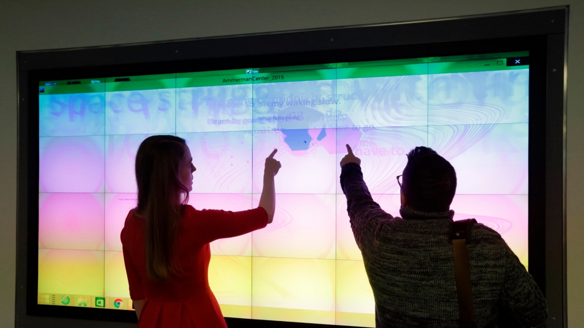 US College Libraries in a Digital Age