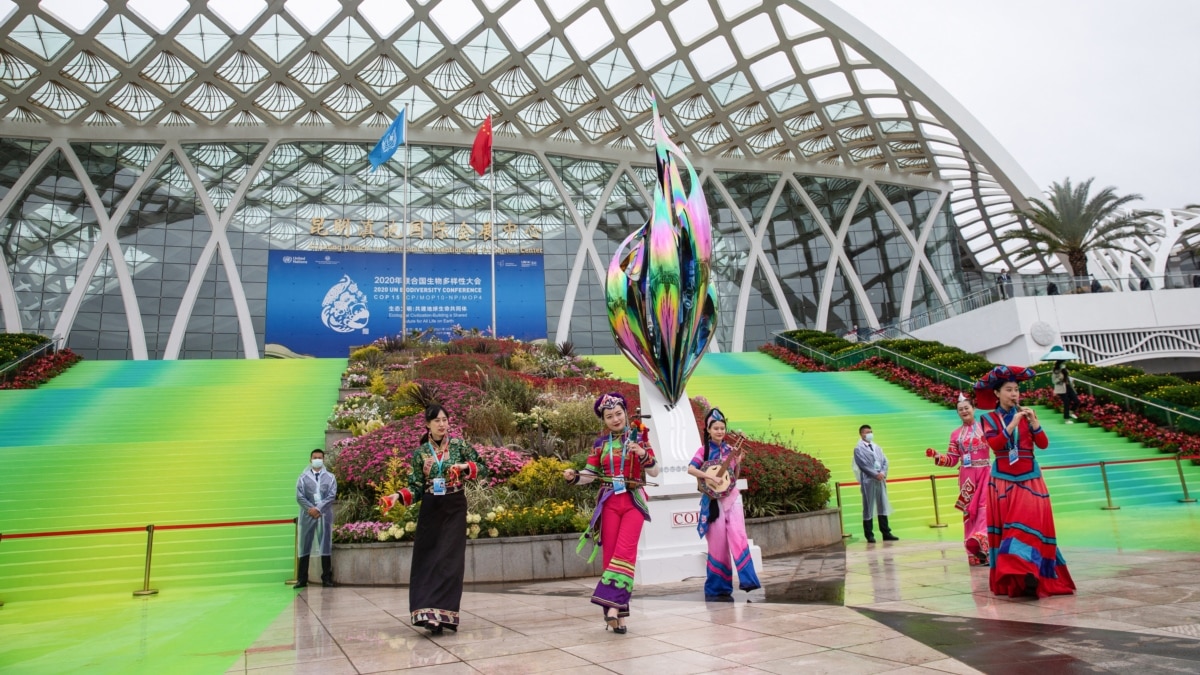 Key UN Biodiversity Summit Opens in China