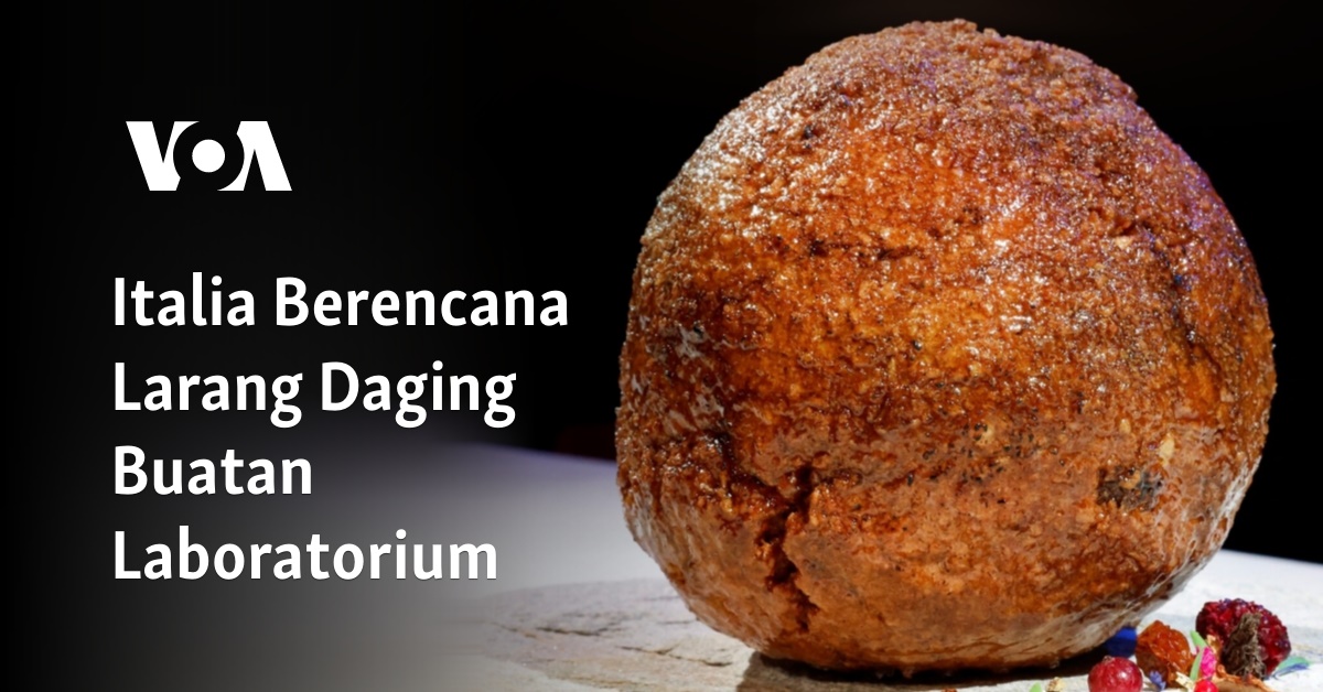 Italia Berencana Larang Daging Buatan Laboratorium