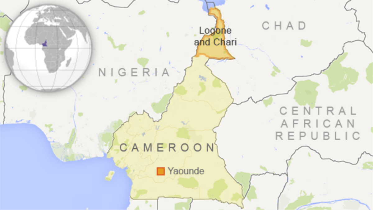 Cameroon's Military Seizes War Weapons