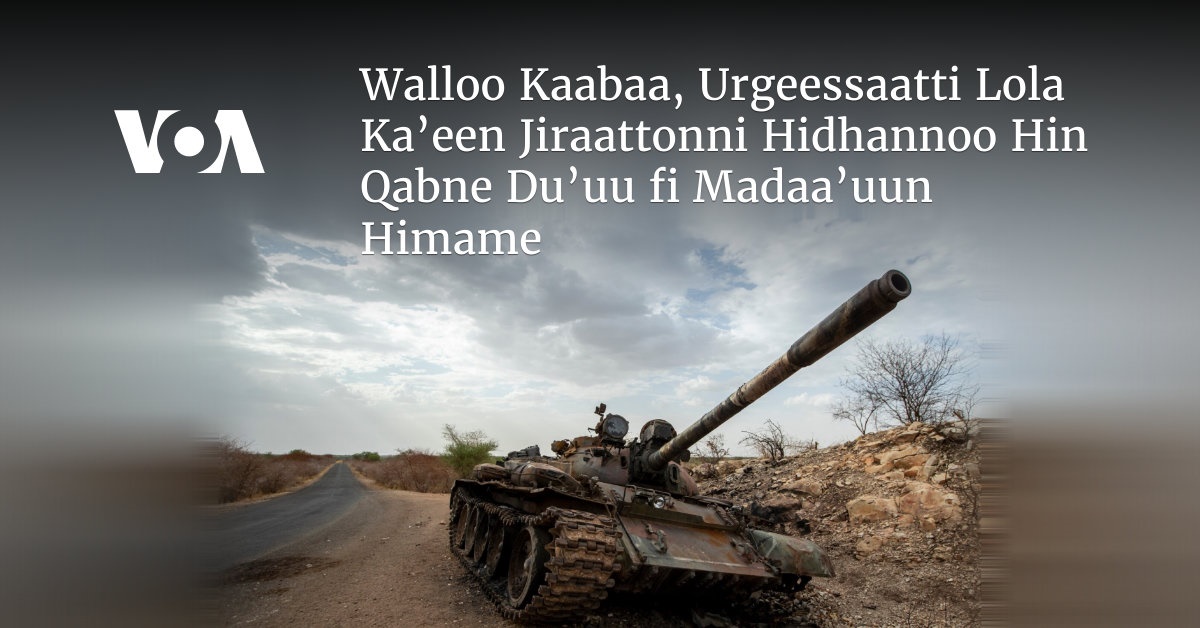 Walloo Kaabaa, Urgeessaatti Lola Ka’een Jiraattonni Hidhannoo Hin Qabne ...