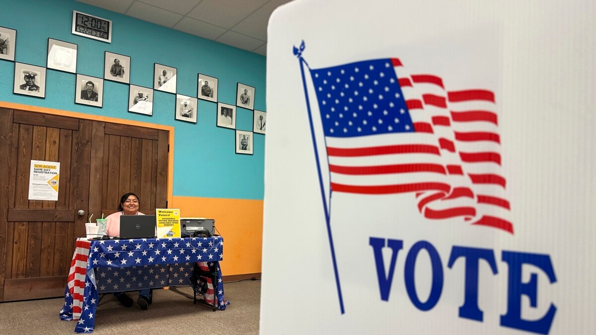 Pemilih yang Masih Ragu Bisa Jadi Penentu Hasil Pilpres Amerika Serikat