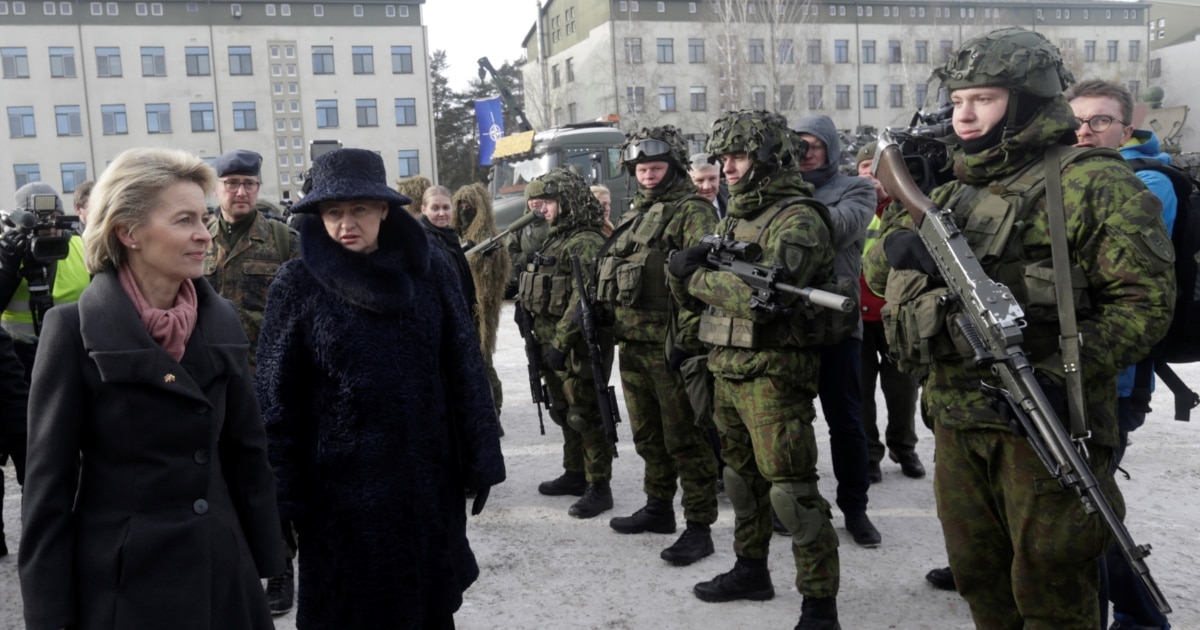 Lithuania Boosts NATO’s Baltics Border Defenses With Eye on Russia