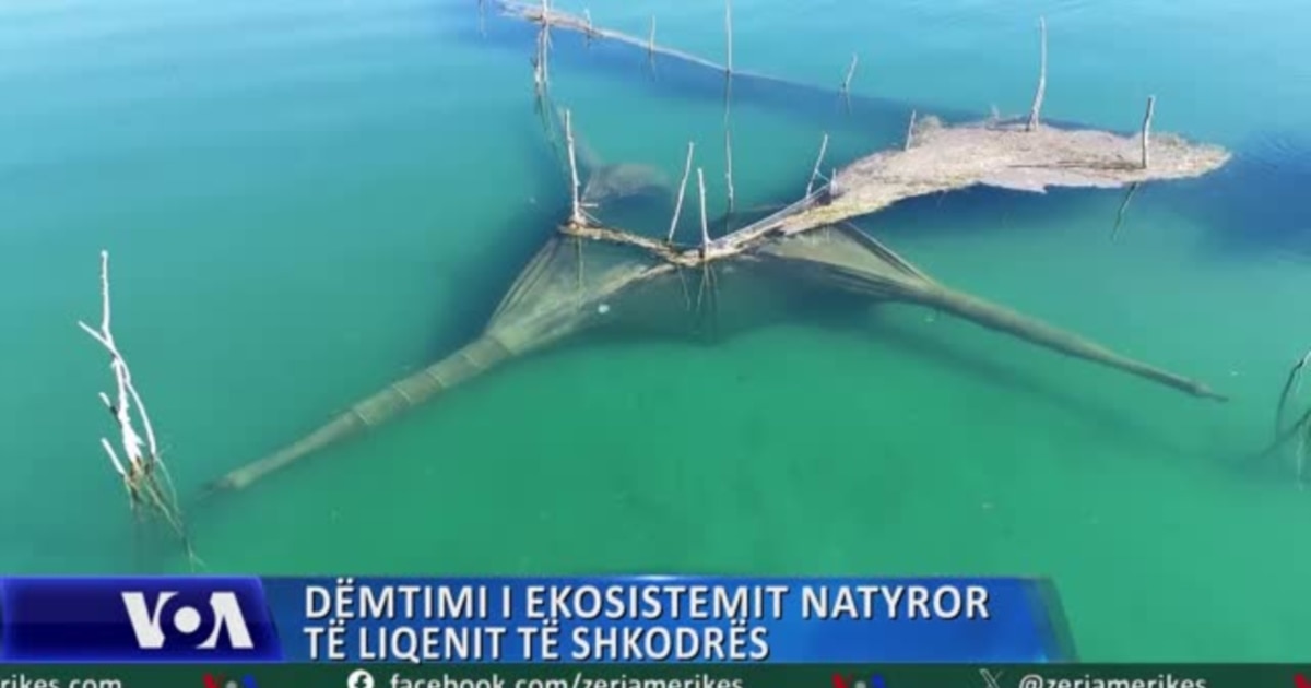 Dëmtimi i ekosistemit natyror të Liqenit të Shkodrës