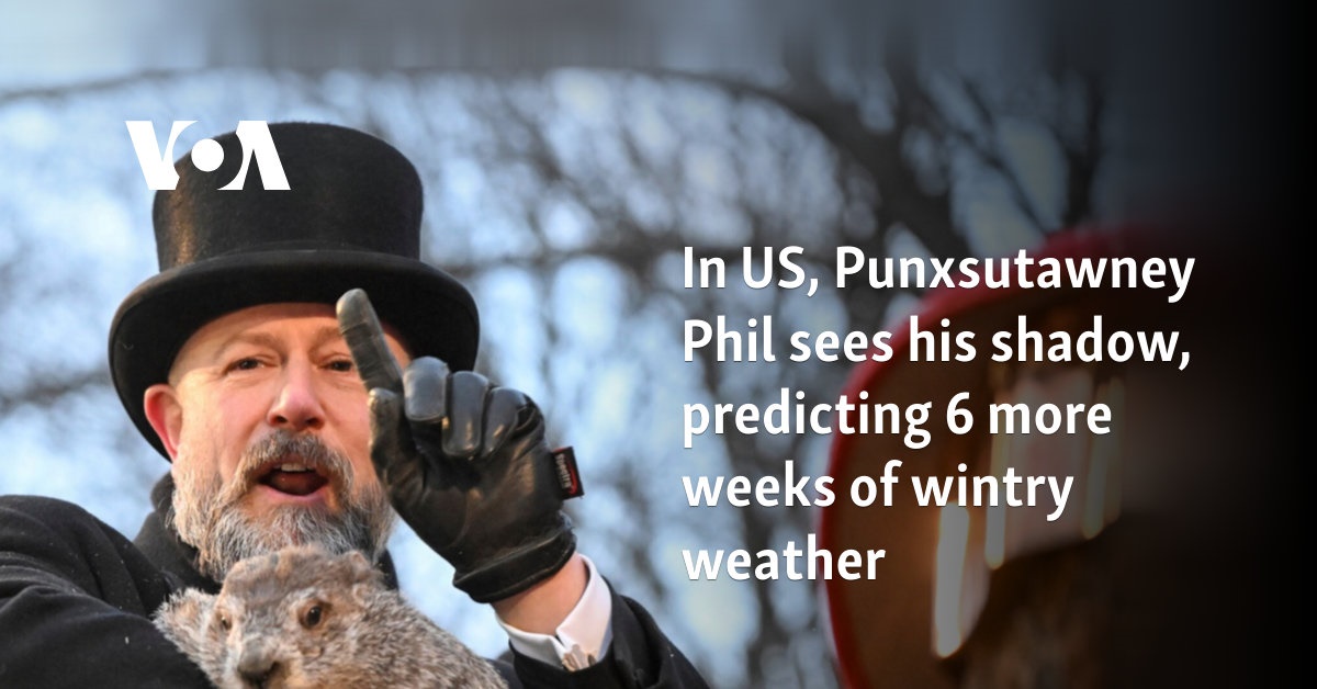 In US, Punxsutawney Phil sees his shadow, predicting 6 more weeks of ...