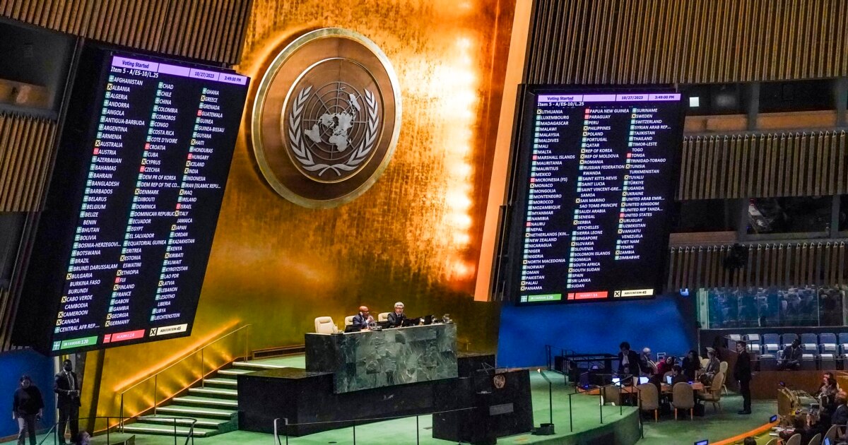 Israël-Hamas: l'Assemblée générale de l'ONU vote pour une "trêve ...