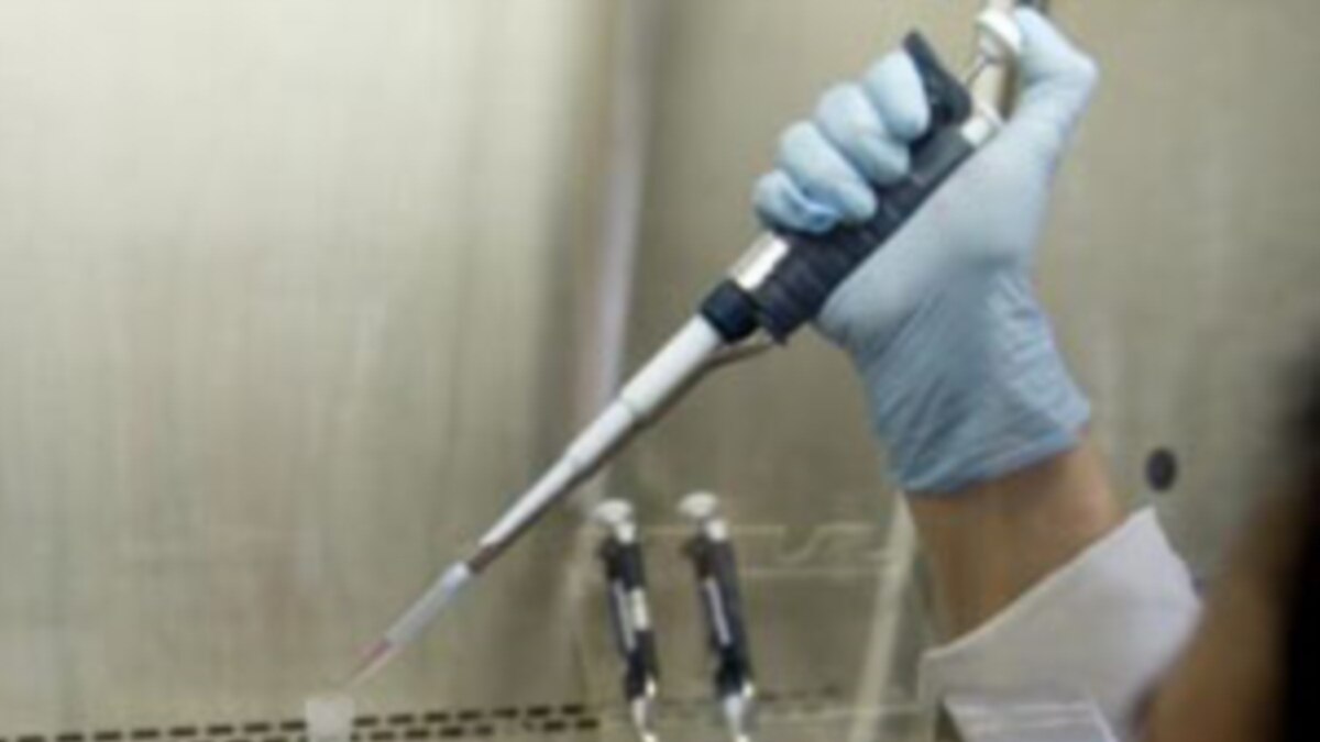 UN Calls for Unity to Fight Drug-Resistant Malaria