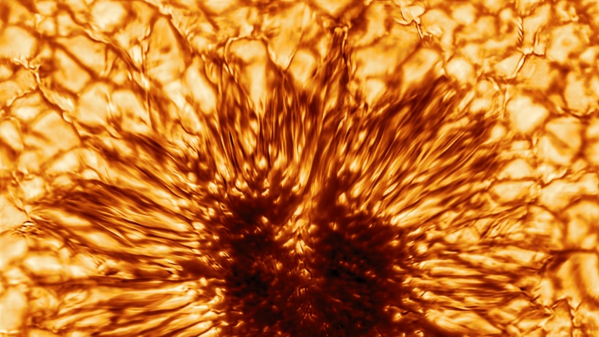 Solar Telescope Captures High Resolution Image of Sunspot