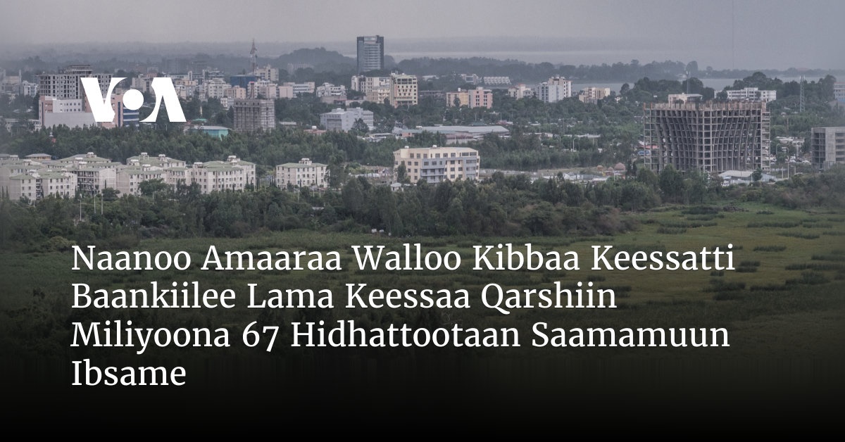Naanoo Amaaraa Walloo Kibbaa Keessatti Baankiilee Lama Keessaa Qarshiin ...