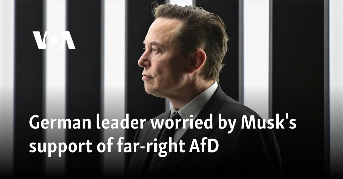 German leader worried by Musk's support of far-right AfD