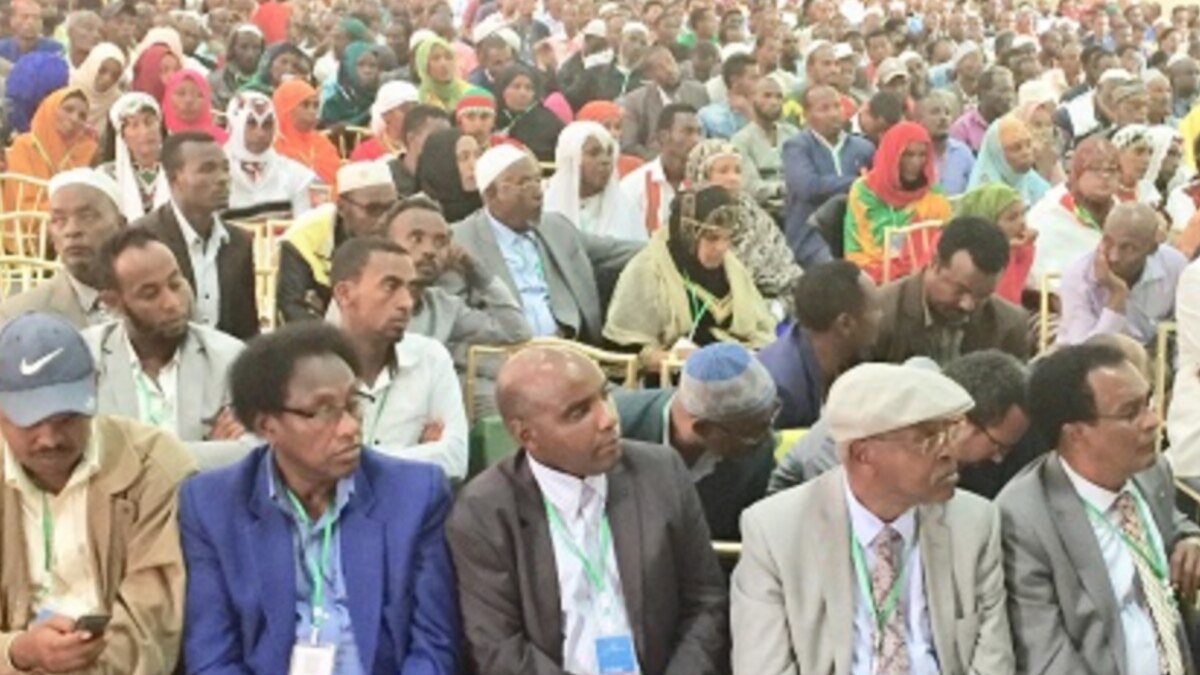 ABO Qaama Cehumsaatii fi ABOn Tokkoomee 'Qabsoo Oromoo Ceesisuuf' Walti ...