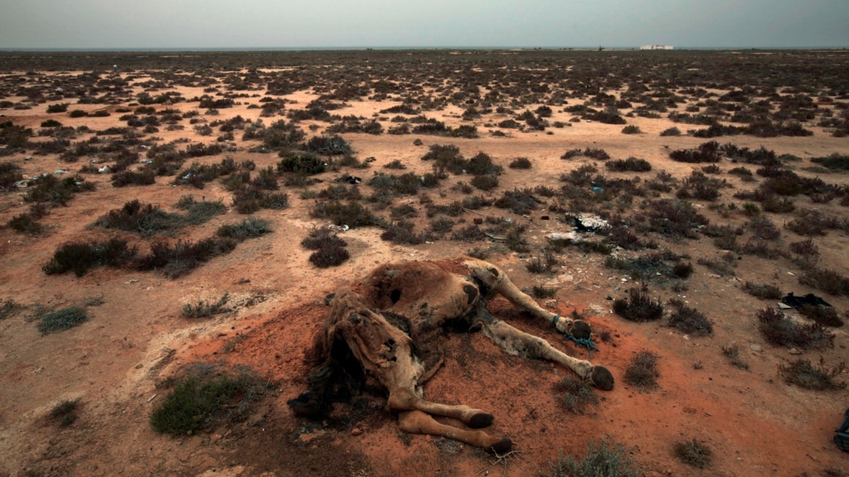 Tunisia Drought Threatens Food Security