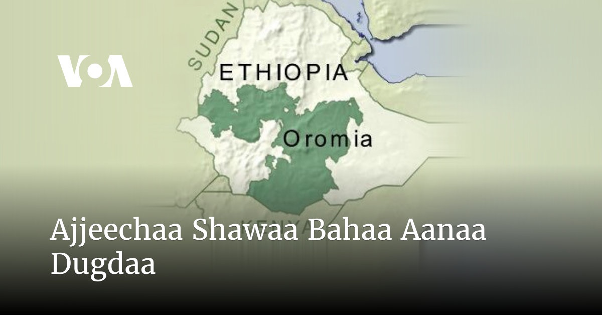 Ajjeechaa Shawaa Bahaa Aanaa Dugdaa