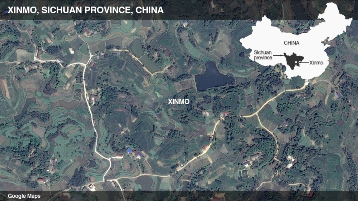 Nitrocotton Blamed for Fireworks Factory Explosion in China