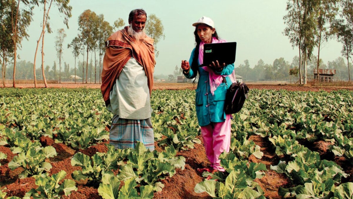 Report: Conflict, Climate Affect Food Security