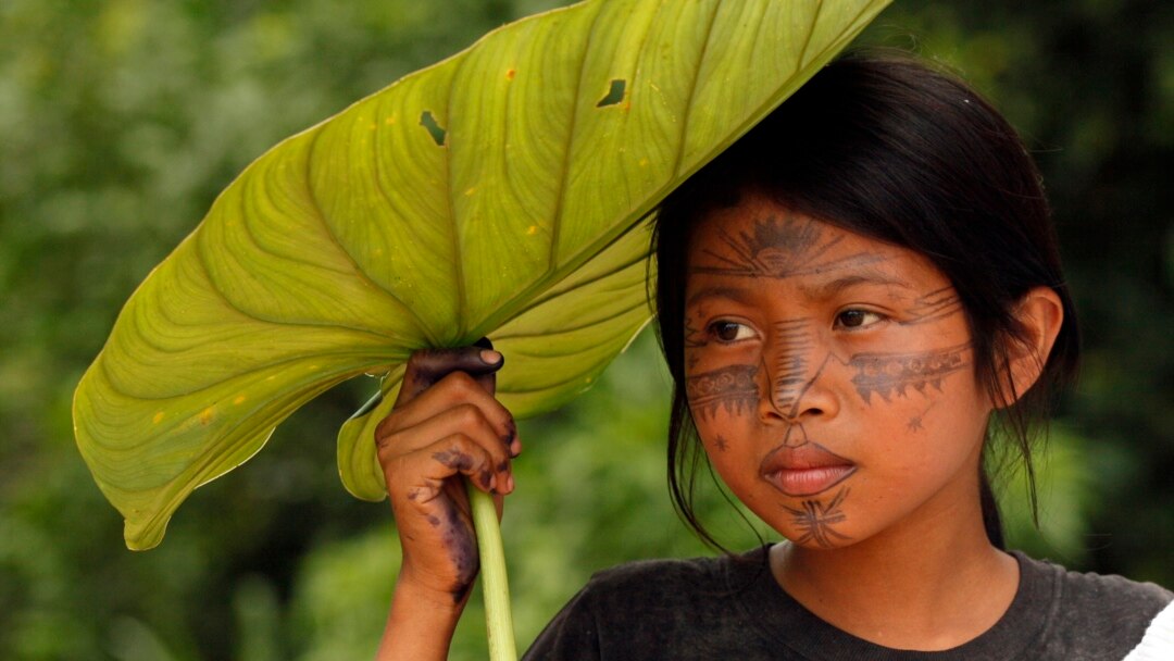 Sara Deer's Instagram, Twitter & Facebook on IDCrawl