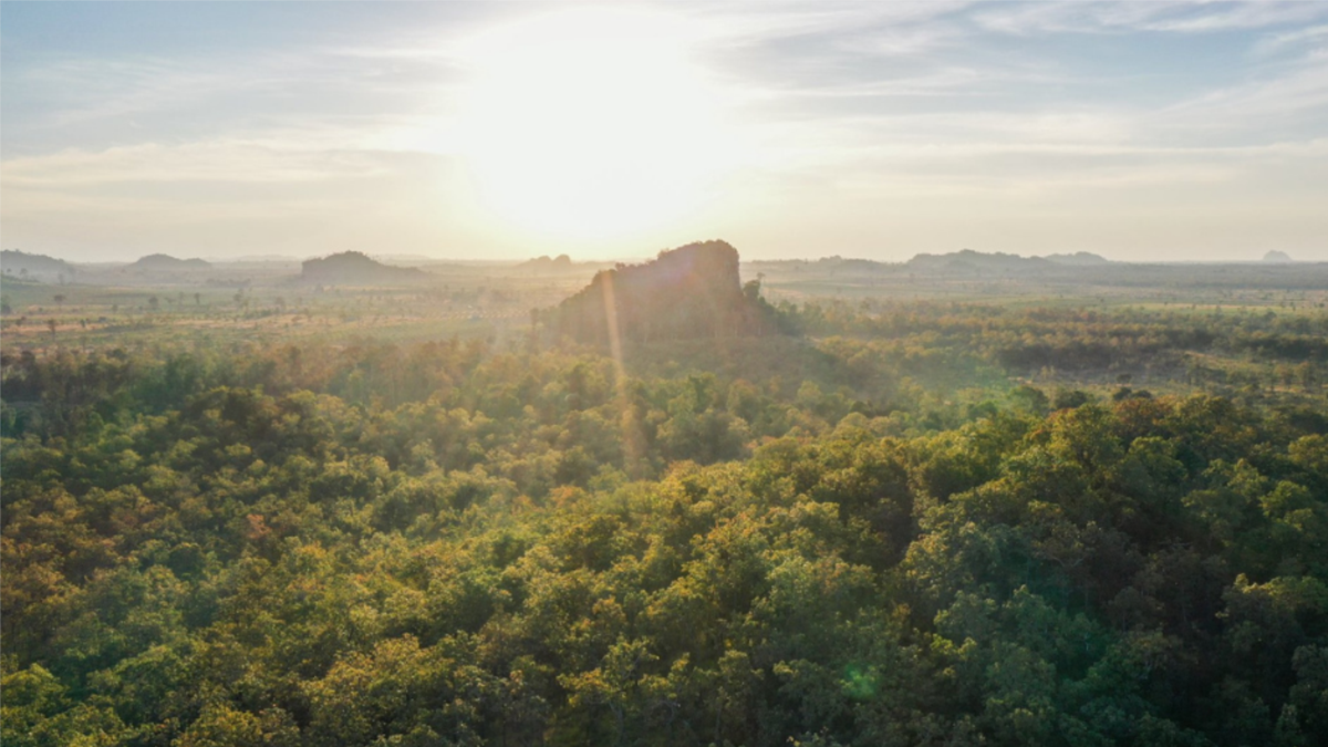 Activists Decry Ongoing Deforestation at Prey Lang Forest