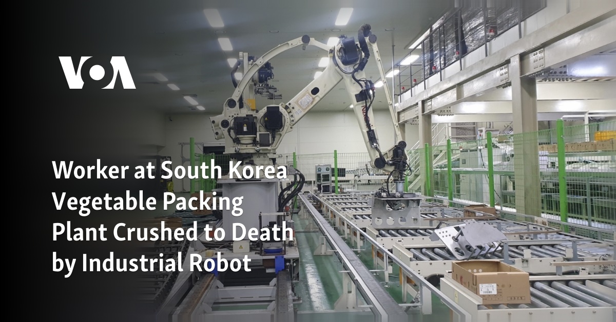 Worker at South Korea Vegetable Packing Plant Crushed to Death by ...