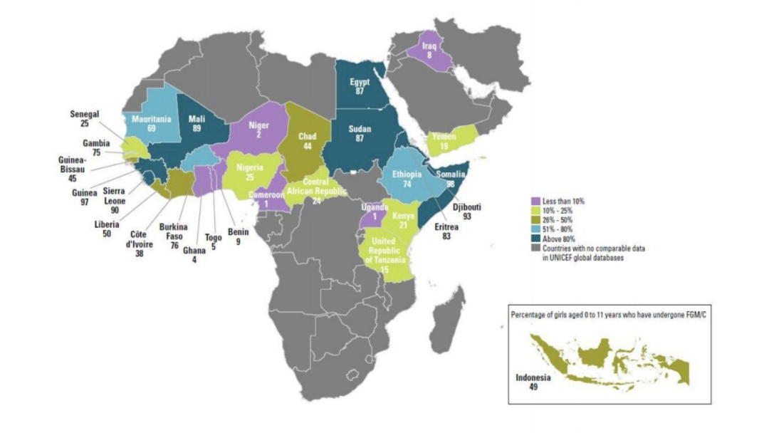 Female Genital Mutilation Map