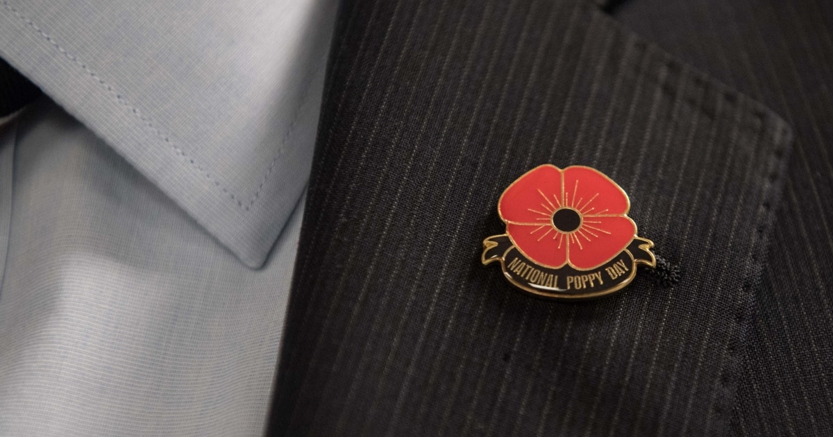 US Marks First National Poppy Day