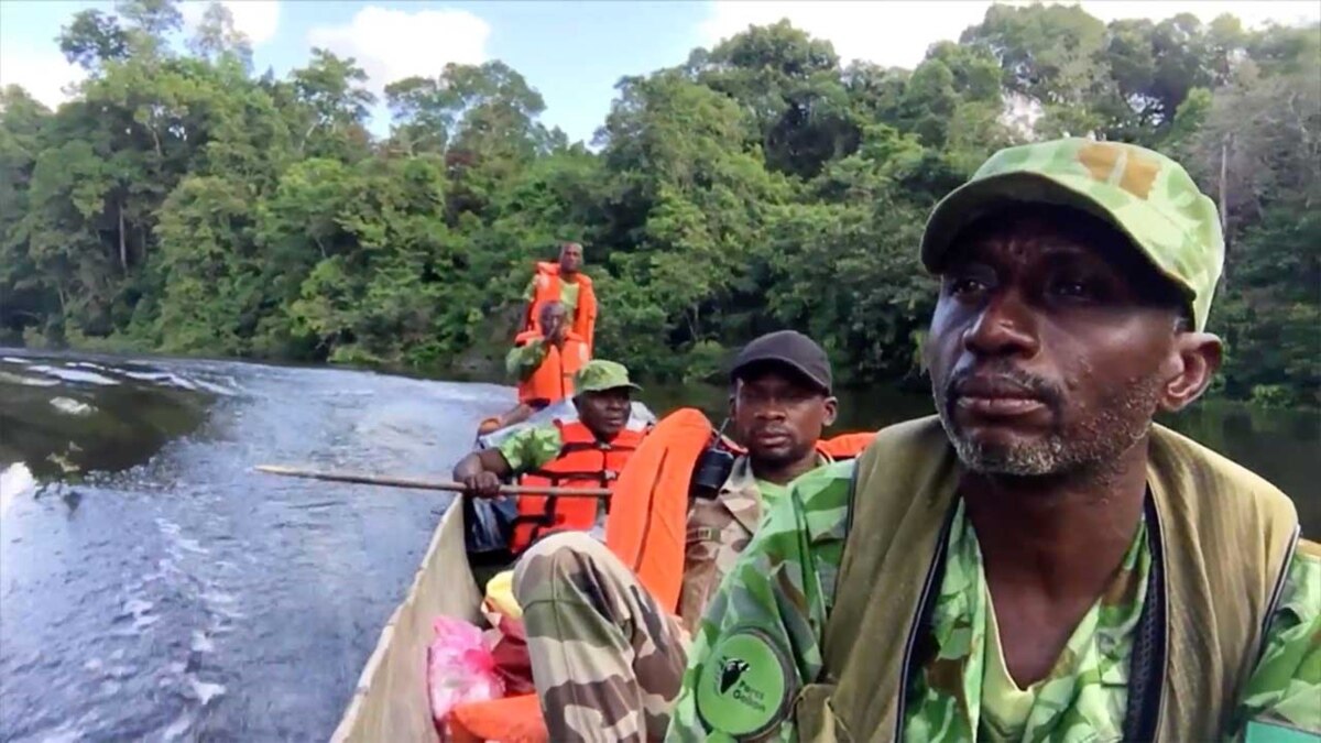 Counter-Poaching Efforts in Gabon - Straight Talk Africa