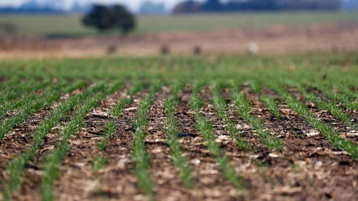 War wanaagsan oo kasoo yeeray Somaliland xilli ay abaaro ka jiraan Geeska