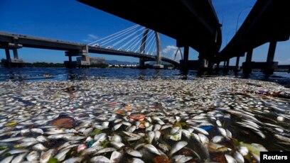 Oxygen Depletion Pollution