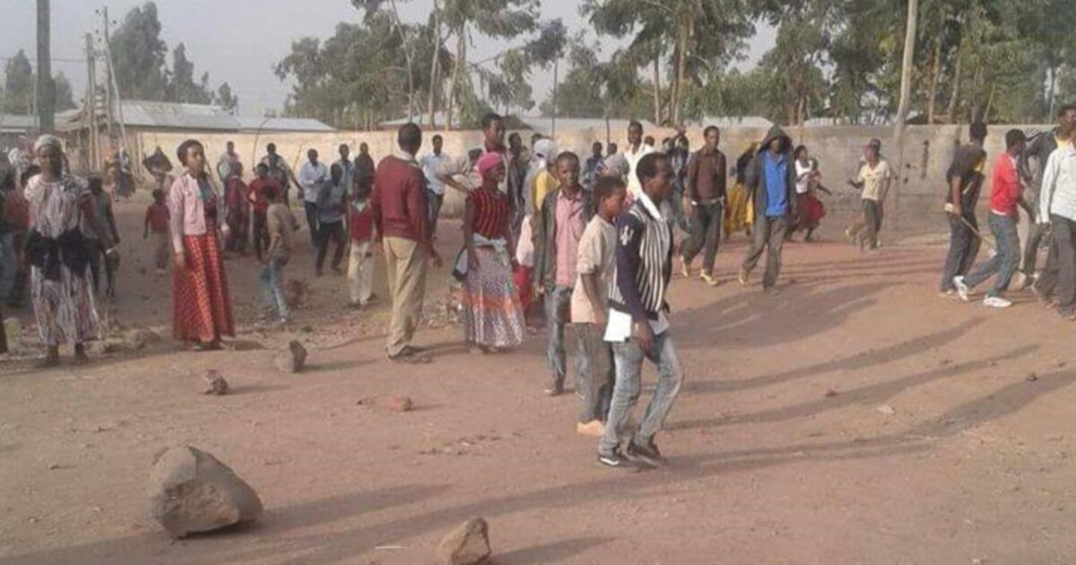 Harargee Bahaa fi Naannawaa Magaalaa Shaashamanneetti Mormiin Itti ...