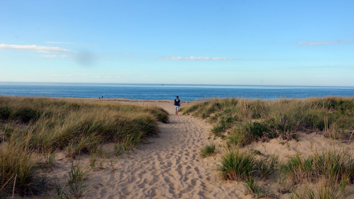 A Seaside Escape from the Crush of the City