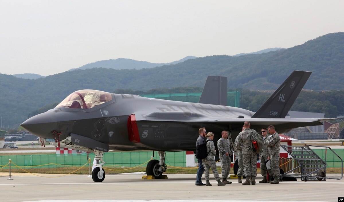 US Stealth Fighter Suffers Millions in Damage from Bird Strike