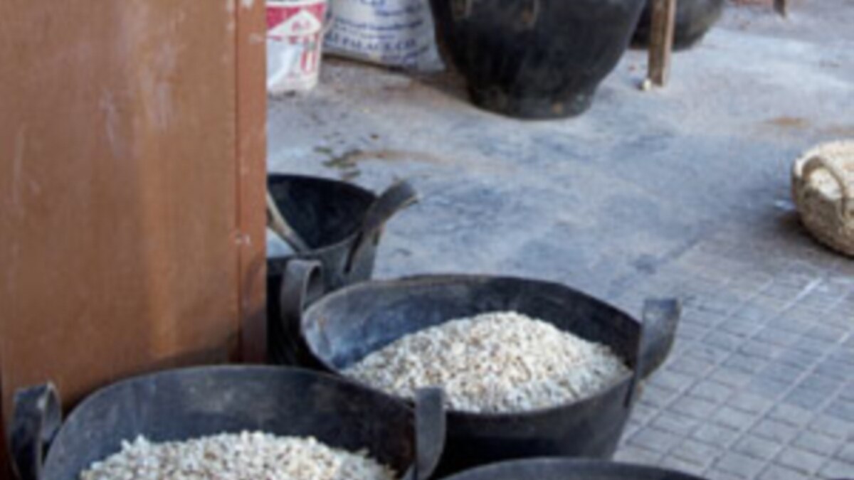 Arab World Faces Serious Poverty, Food Security Challenges