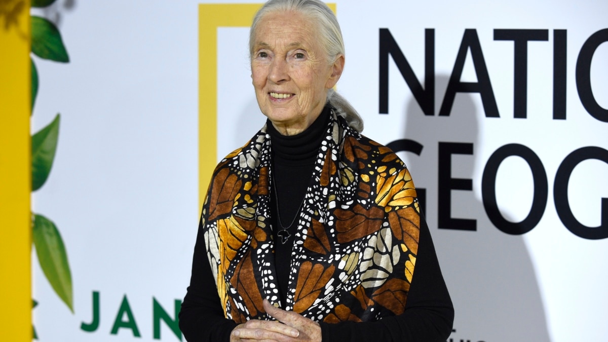 Jedinstveno putovanje Džejn Gudal u novom dokumentarcu